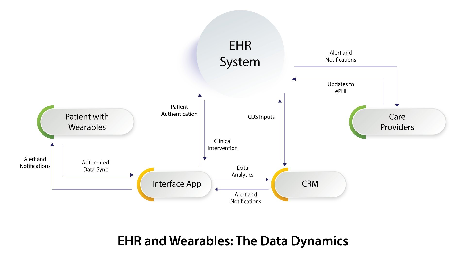 Ehr And Wearables A Look The Data Dynamics